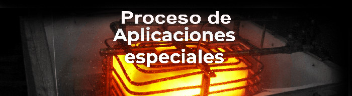 Proceso de Aplicaciones Especiales :: interpowerinductionmexico